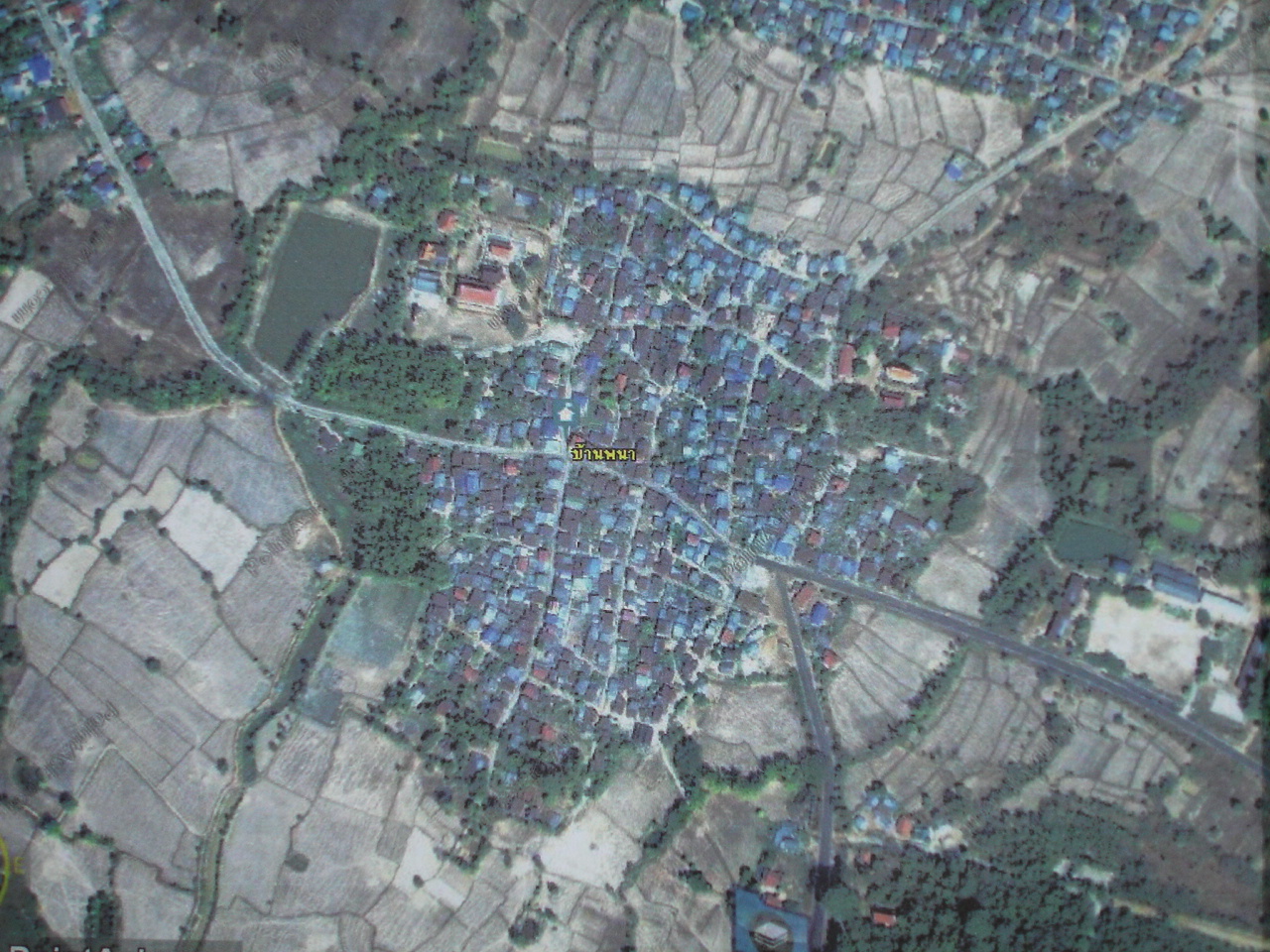 Macaque Project | Thai Monkey Forest