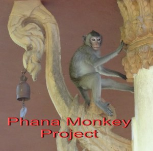 Phana Monkey Project | Thai Monkey Forest