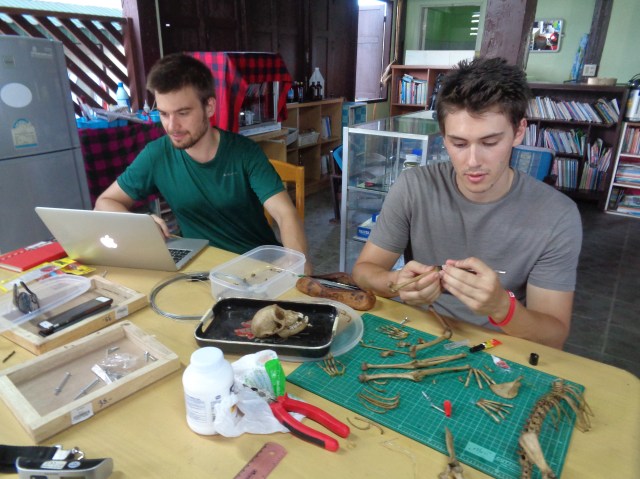 News from the Phana Monkey Project | Thai Monkey Forest