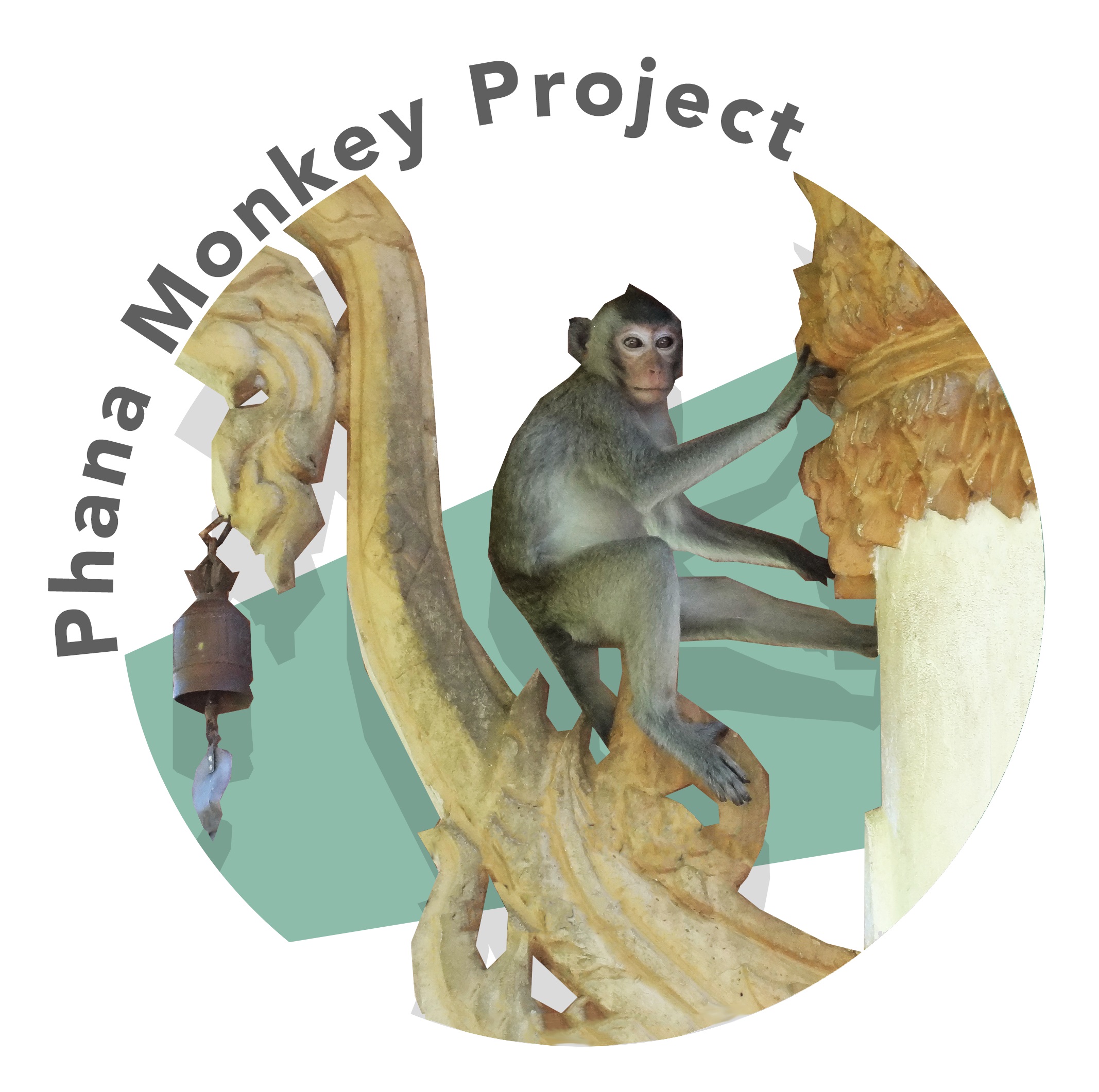 News from the Phana Monkey Project | Thai Monkey Forest